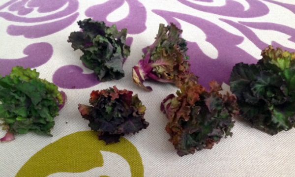 Flower sprouts, wat doe je ermee? - Koken met Karin